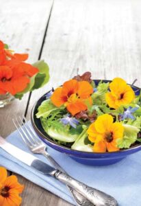 Edible Flowers and Herbs for Digestion | Mother Earth Living